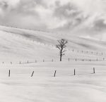 Michael Kenna: Light, Land and the Empty Stage - Photogpedia