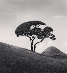 Michael Kenna: Light, Land and the Empty Stage - Photogpedia