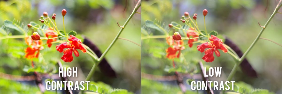 Lighting in Photography - Photogpedia