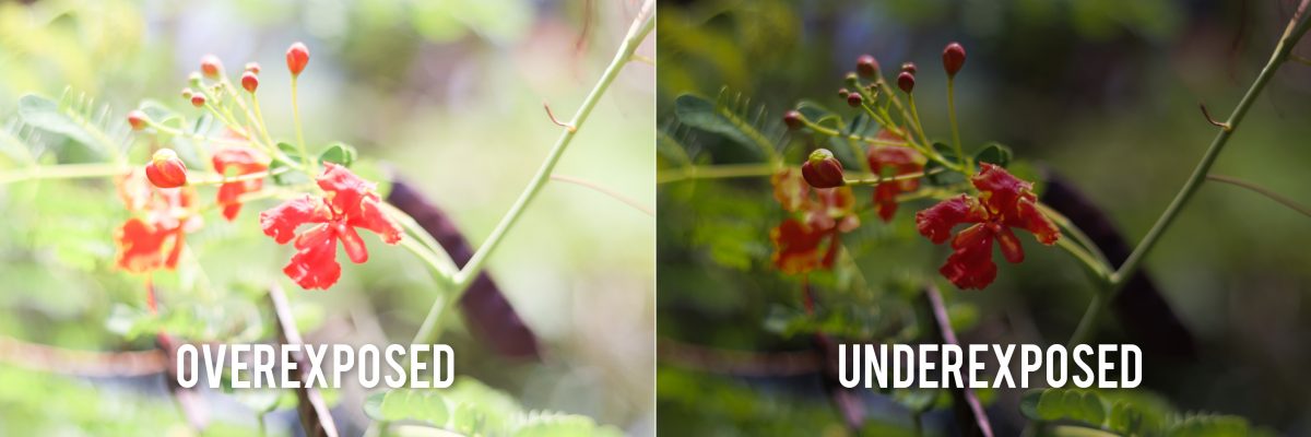 Lighting in Photography - Photogpedia