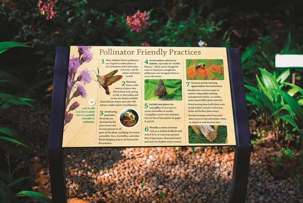 Best Outdoor Print and Signage Options - Photogpedia