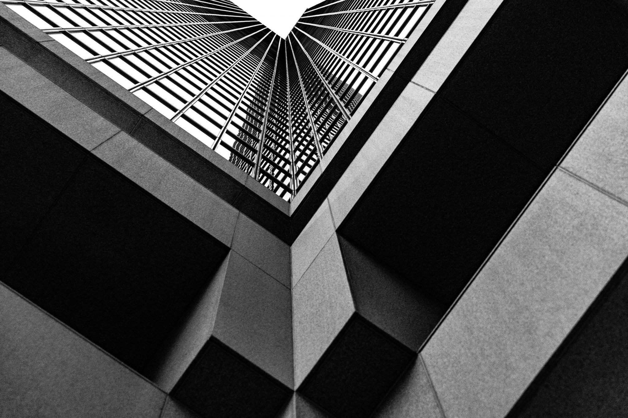 High Contrast Photography: Mastering the Art of Light and Shadow