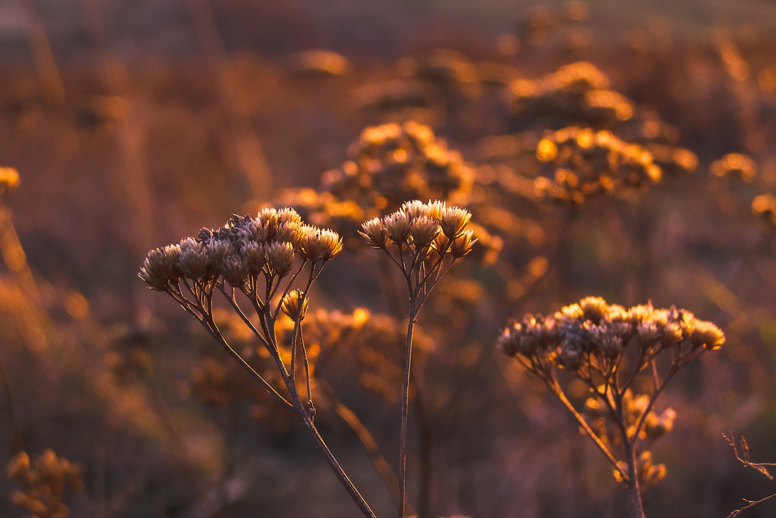 The Ultimate Guide to Continuous Lighting for Photography - Photogpedia