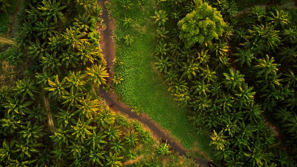 Master the Art of Aerial Photography with Our Techniques - Photogpedia