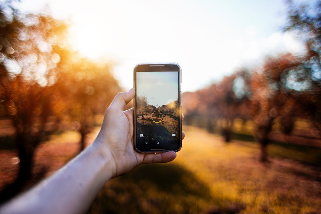 Low Light Phone Photography: The Best Settings and Pro Tips