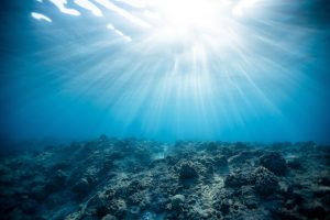 Underwater Photography - Photogpedia